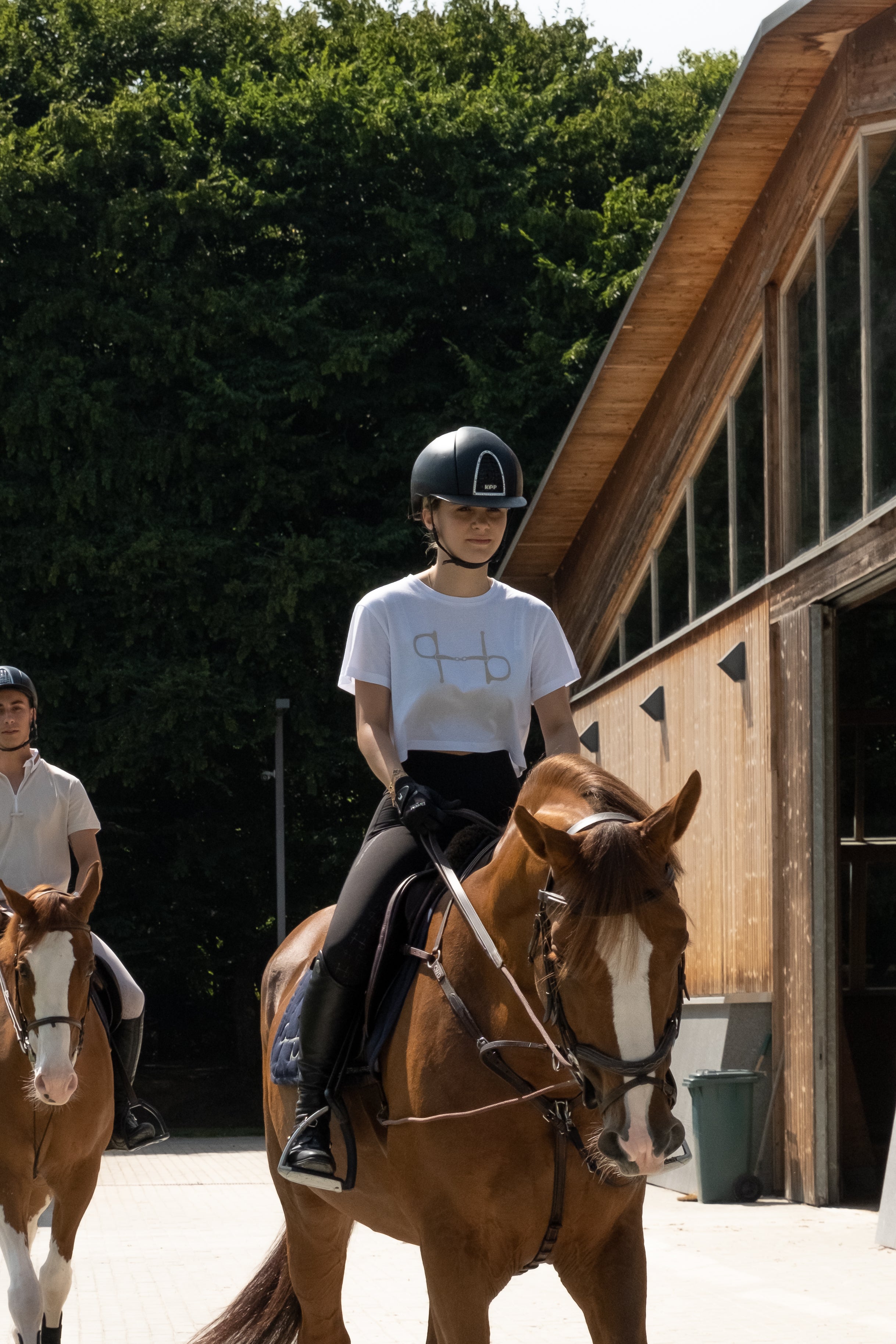 The Tees – PB Equestrian Apparel